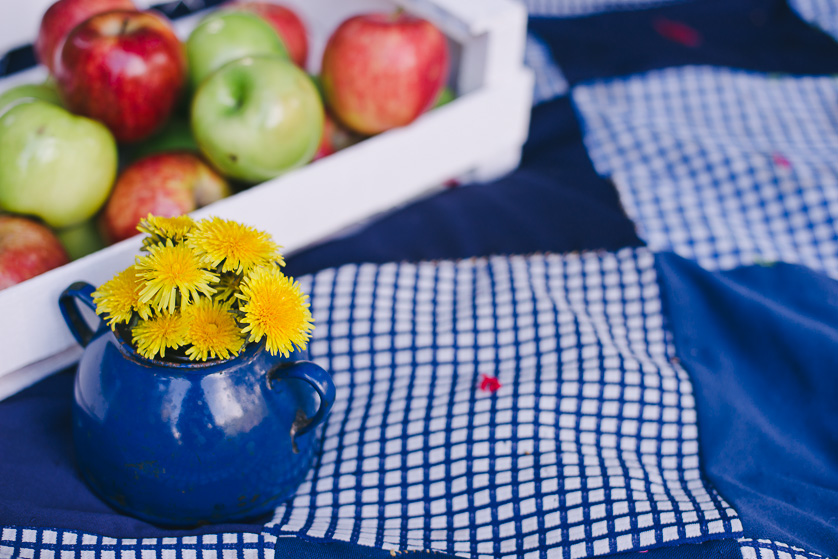 Tips para tu sesión de fotos por Daniela Liska